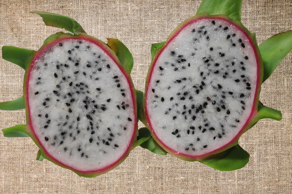 Asunta 1 - Dragons Alley Nursery