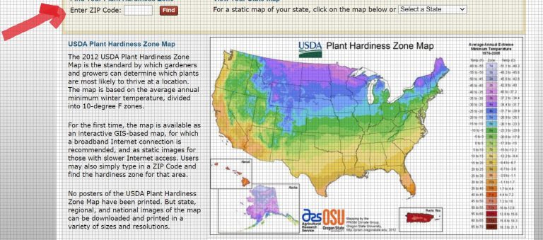 find your USDA hardiness zone Archives - Dragons Alley Nursery